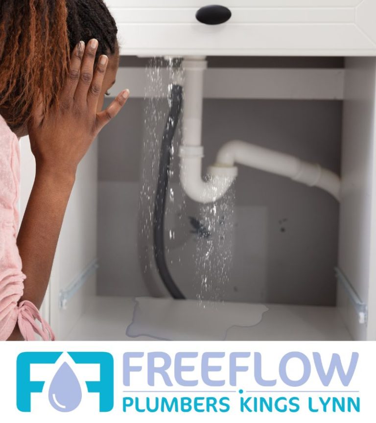 Take A Look About Free Flow Plumbing
